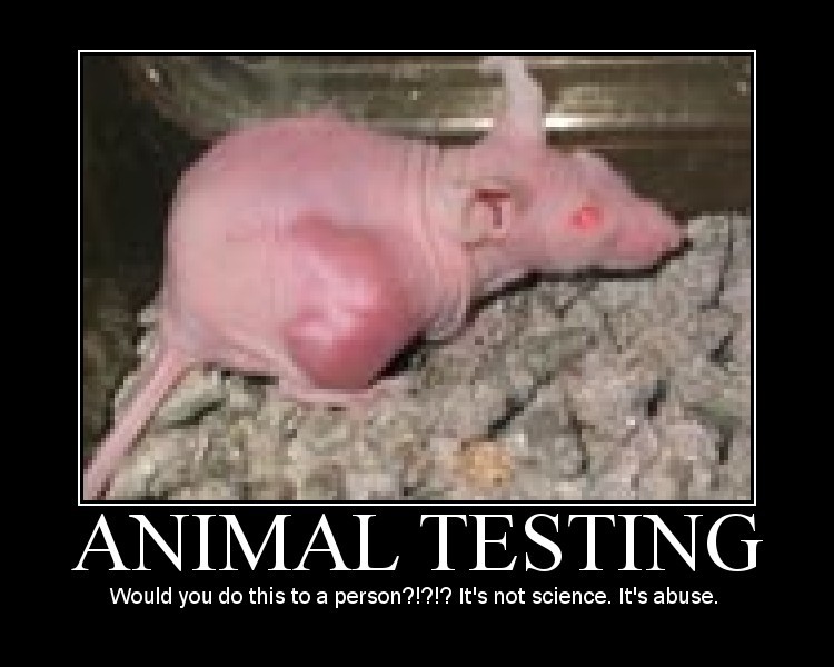 Research And Animals AAIWS Animal Abuser Identification Warning Systems research-and-animals-aaiws-animal-abuser-identification-warning-systems